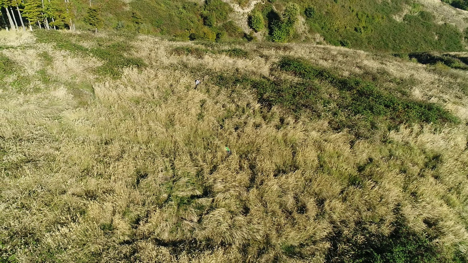 Sar Object Detection Dataset By Data