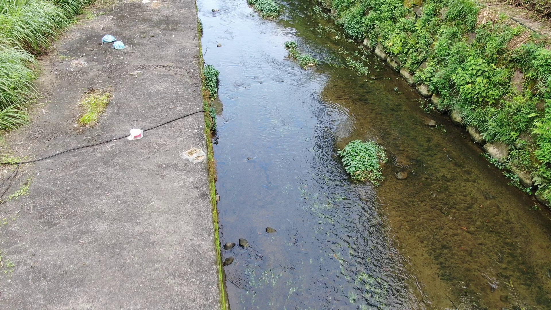 HAIDA one class data not augmented - Roboflow Universe