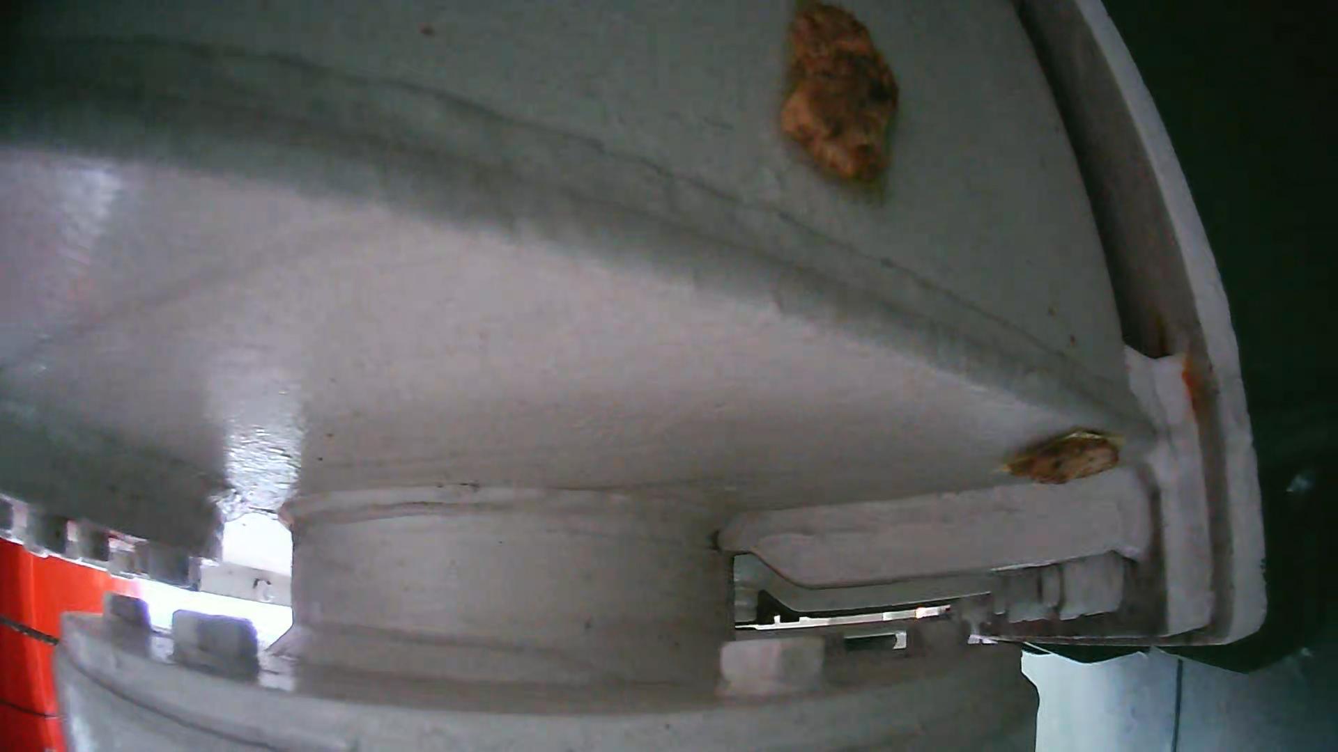 How to Use the Moth with Egg Object Detection API