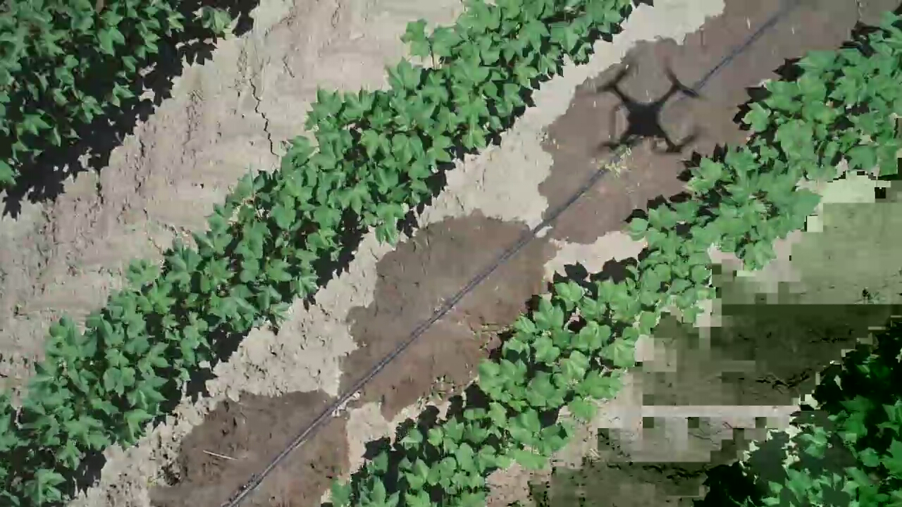 CoflyDB-Detection Object Detection Dataset by Workspace 1