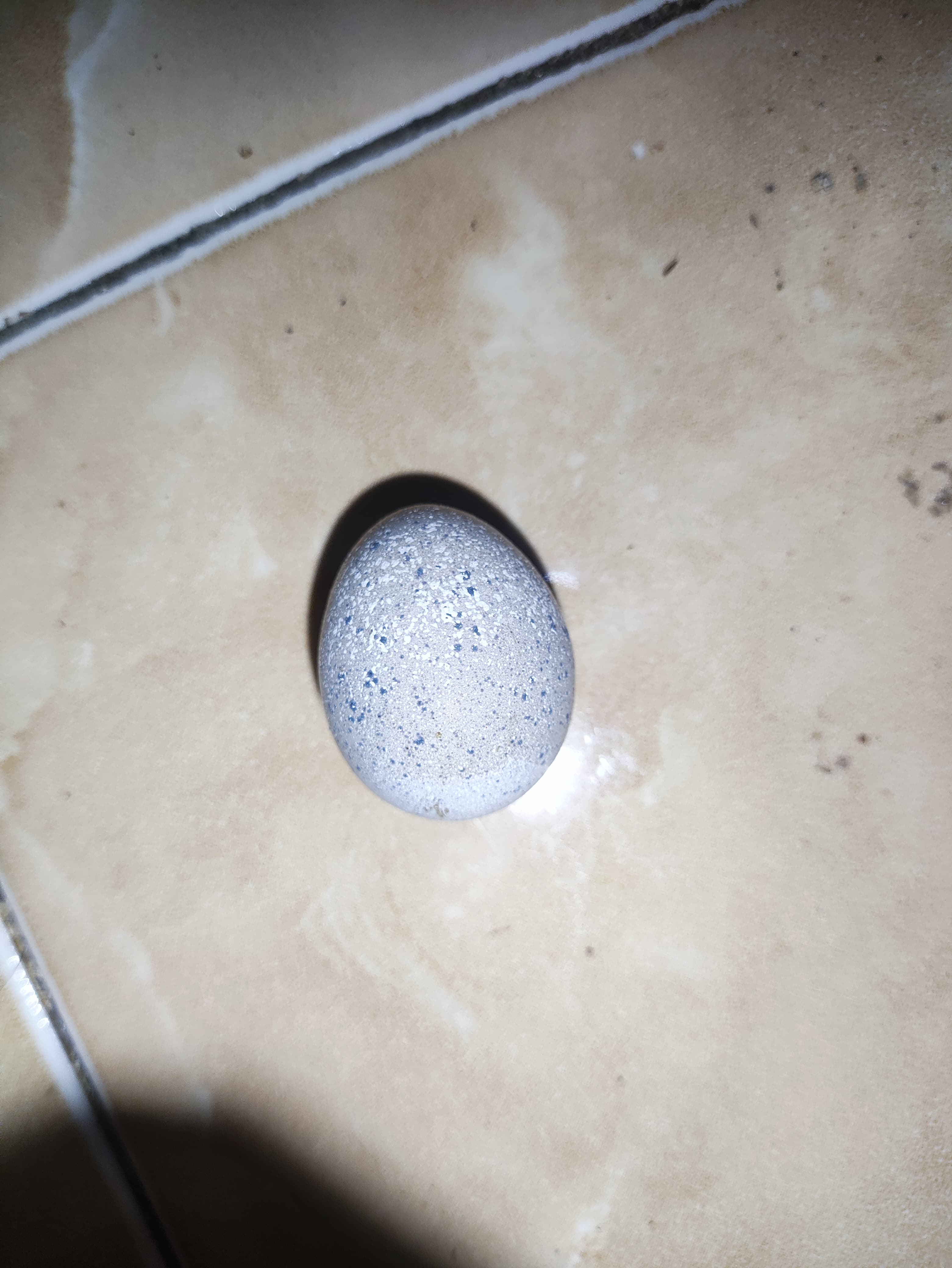 project_ta_fix Object Detection Dataset and Pre-Trained Model by FakerZ