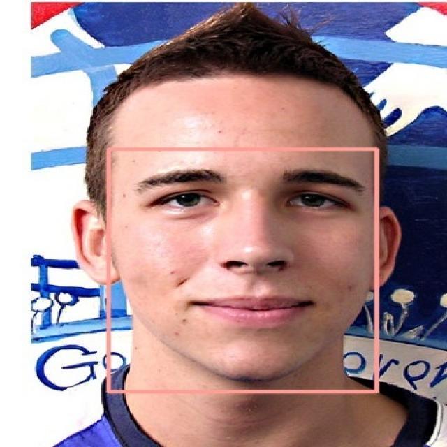 Facial Detection Object Detection Dataset By Hello