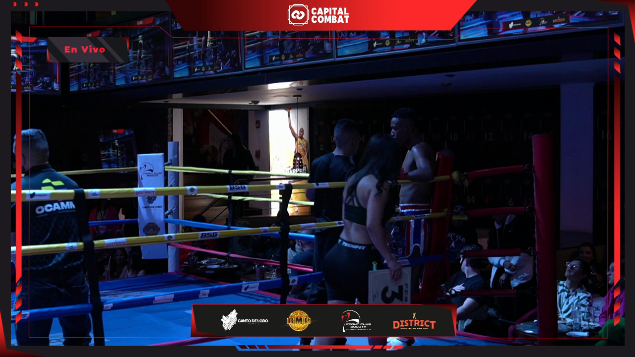 capital-combat-v Object Detection Model by Canto de Lobo