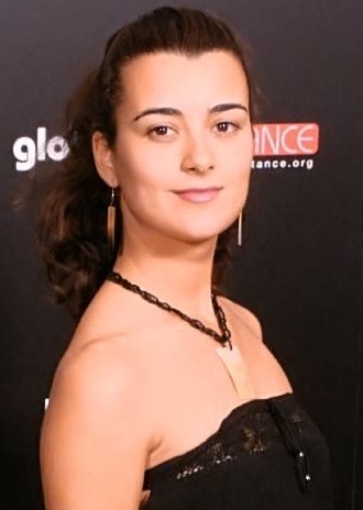 face shape Classification Model by TheReeds