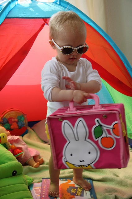 Luggage Detect 1 Object Detection Dataset By Romain Dreuilhet