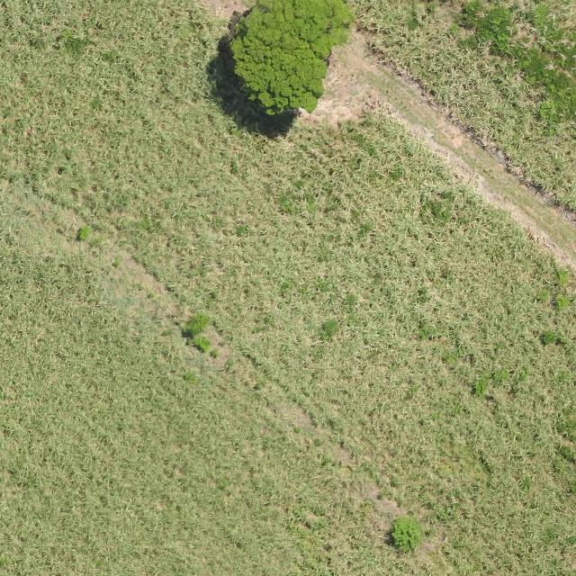 Machine Segmentation Instance Segmentation Dataset by Future