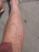 aminux (aminux-702ps) - Roboflow Universe