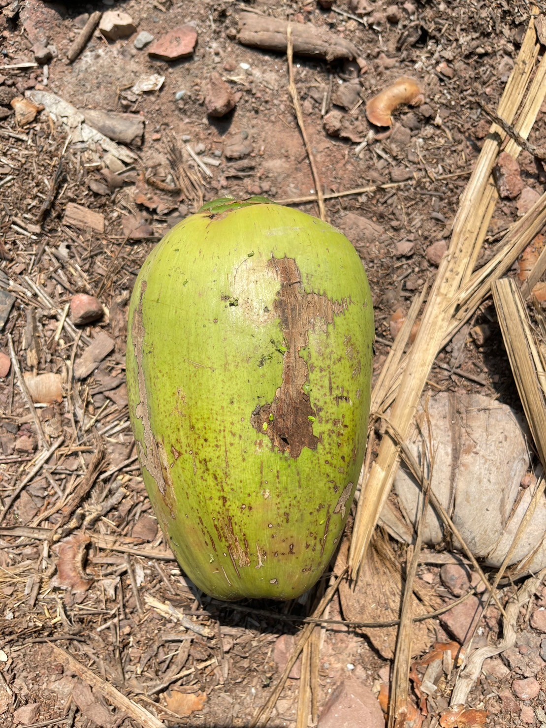 Projects (projects-dyc5d) - Roboflow Universe