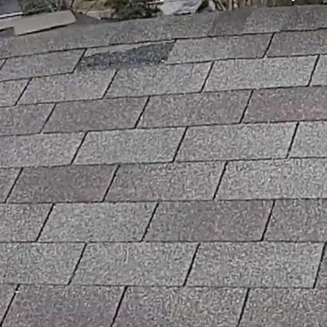 roof-wind-damage Object Detection Model by zpalaroboflow
