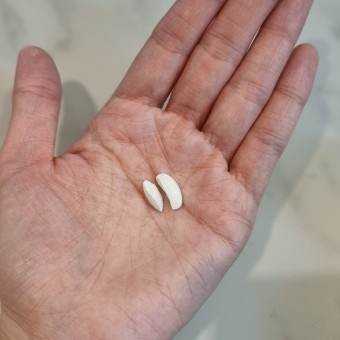 Pill Detection Object Detection Dataset by pilldetection