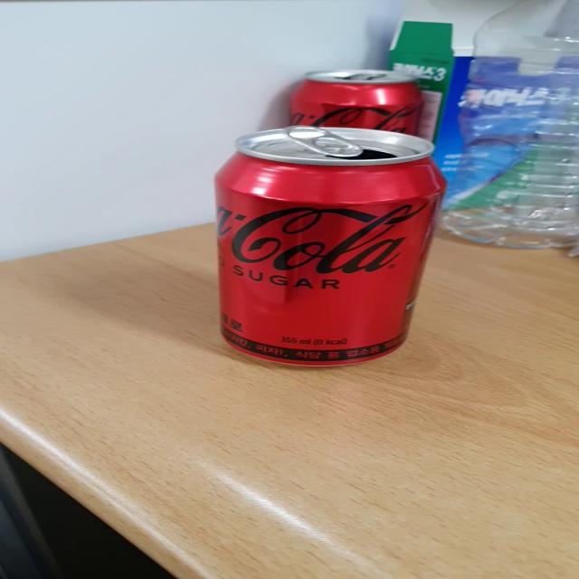 Coke Object Detection Dataset By Hyeon