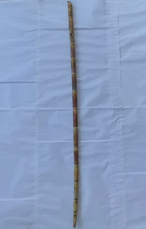 IA Object Detection Dataset by GrayPadilla