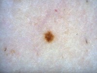 How to Use the qwsd Instance Segmentation API