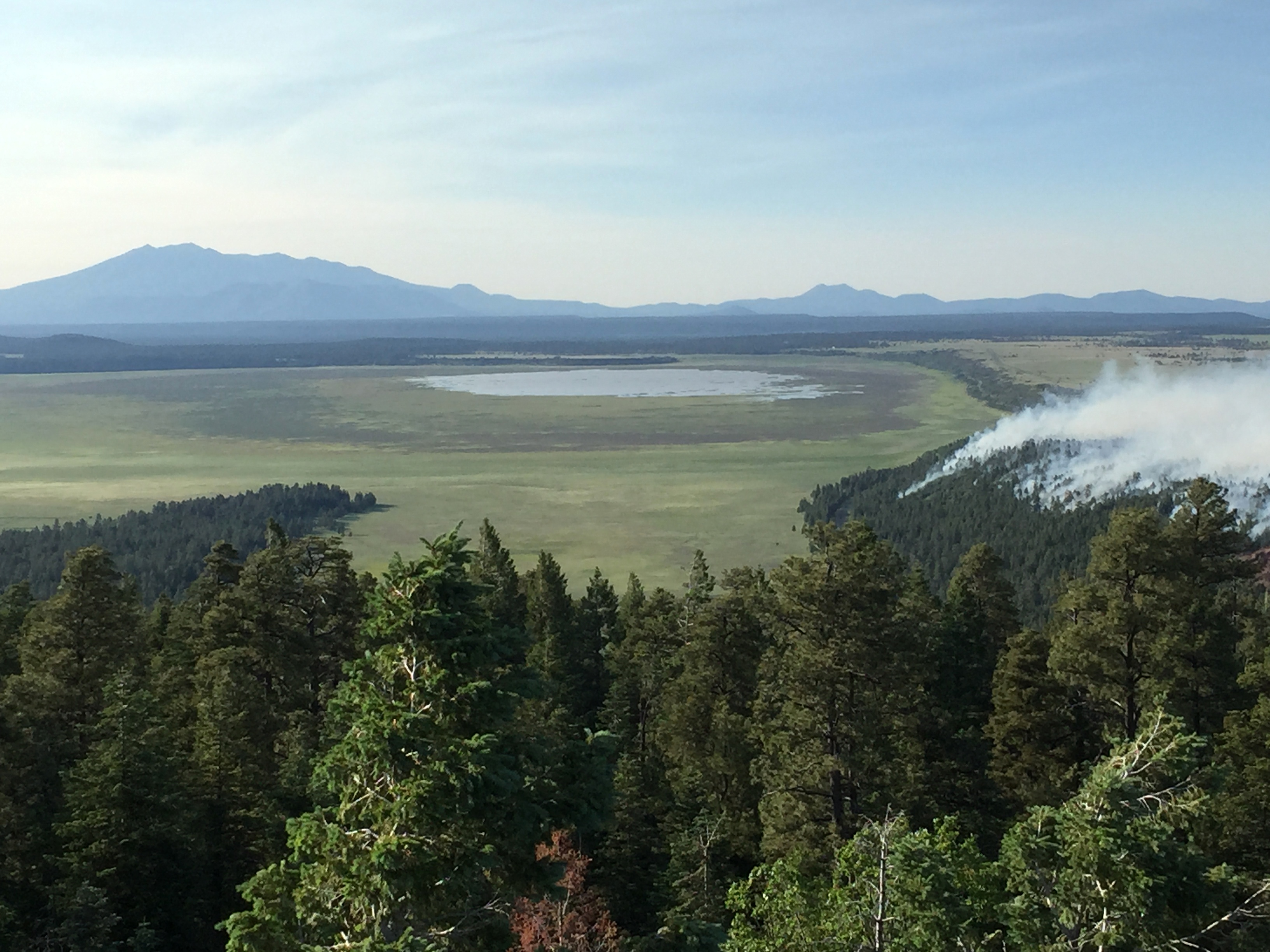 fire dataset kaggle annotation Object Detection Dataset and Pre-Trained ...