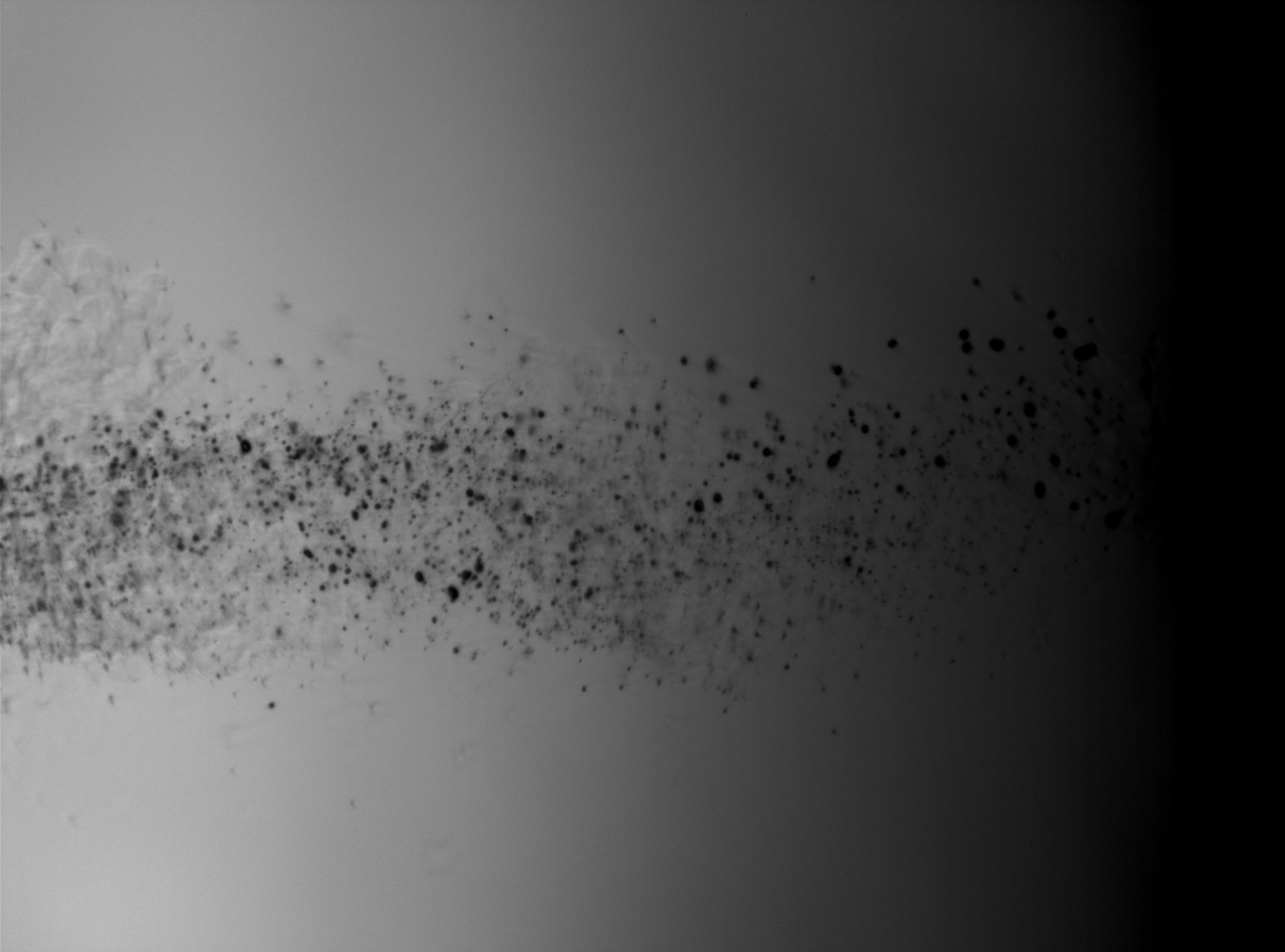 droplet 3 classes Object Detection Dataset by Research