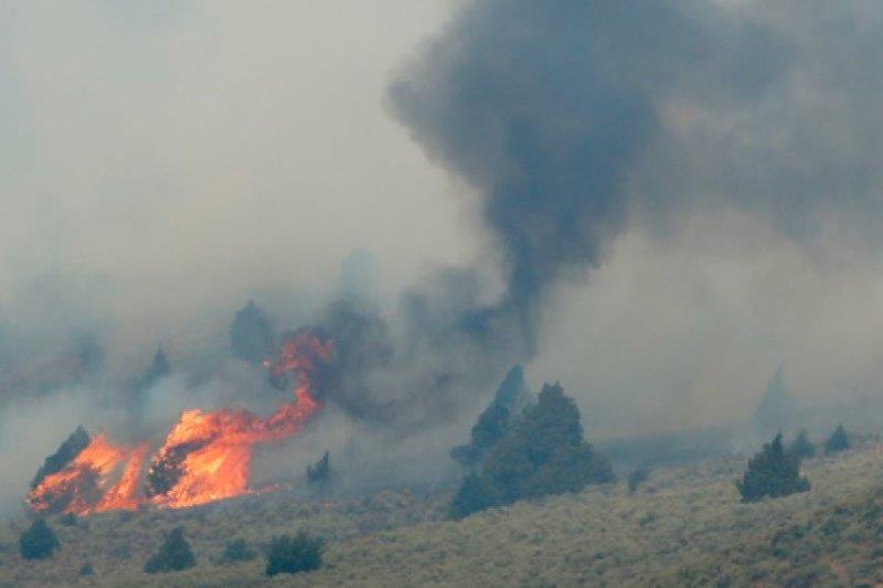 Fire Detection Object Detection Dataset and Pre-Trained Model by firedetection