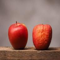 apple Object Detection Model by apple