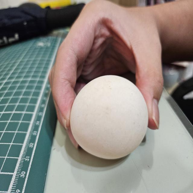 duck pro Object Detection Dataset and Pre-Trained Model by ducks