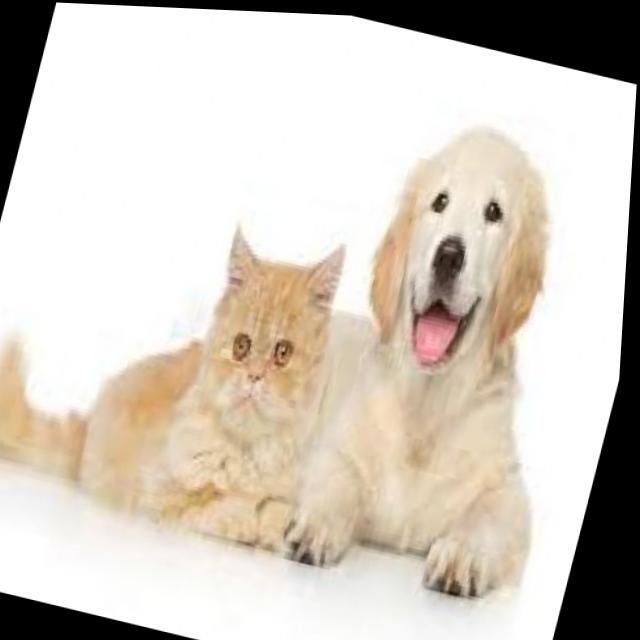 woosong (woosong-oamso) - Roboflow Universe