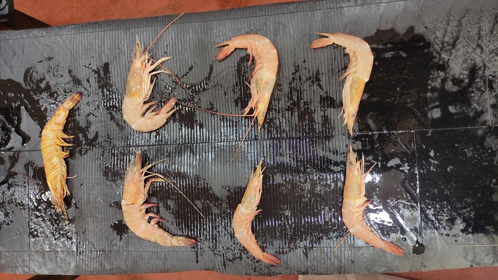 Shrimp Object Detection Dataset And Pre Trained Model By Tarun