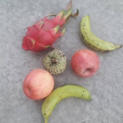 fruits Object Detection Dataset by Catherine Cath