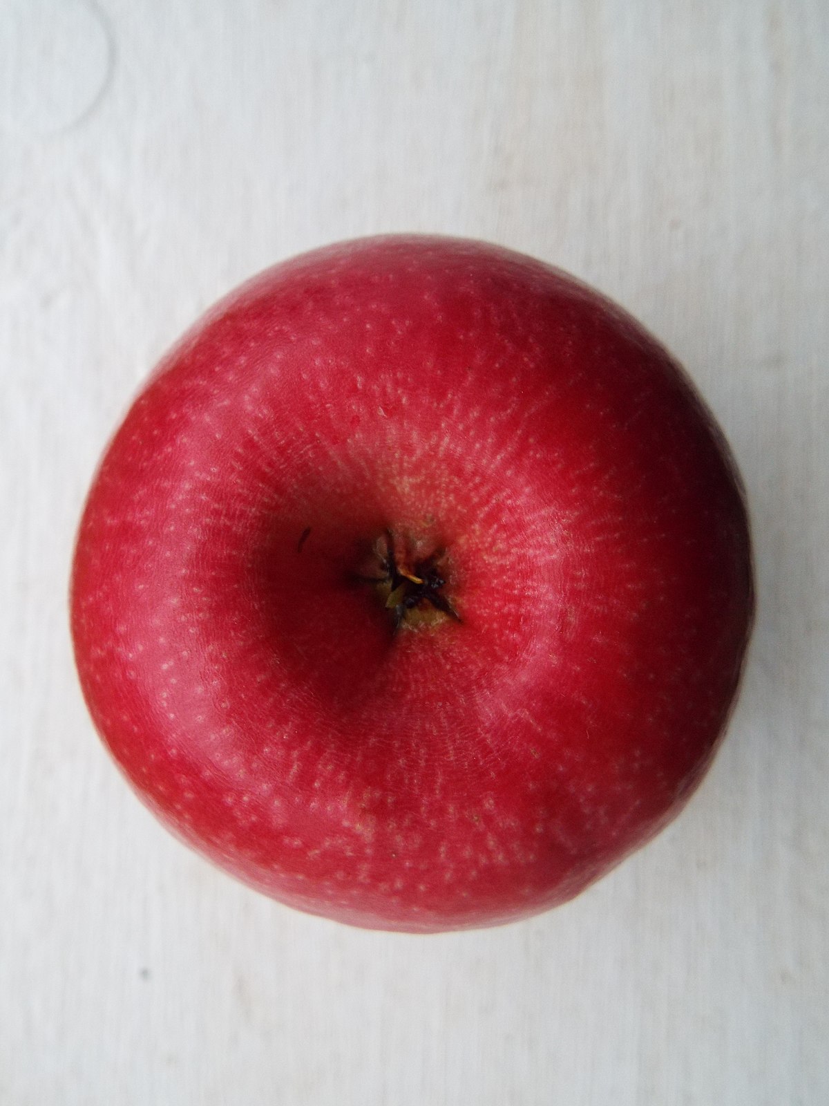 DataFruit_Apple Object Detection Dataset by Raul Diaz