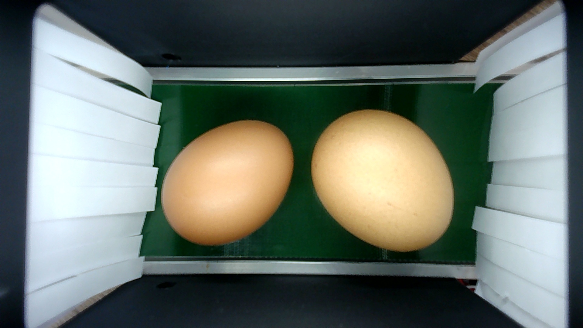 Egg Detection Object Detection Dataset And Pre Trained Model By Pure