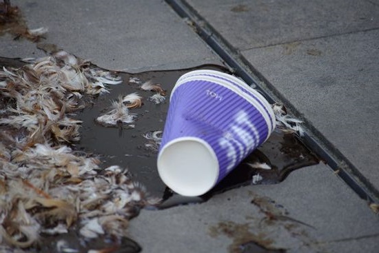 Cup_boarddect Object Detection Dataset and Pre-Trained Model by Waste Detection