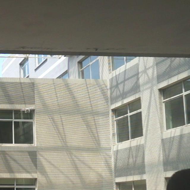 check_bb3 Object Detection Dataset by IIT Hyderabad