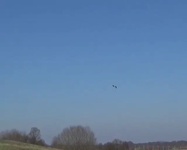 Drone Detection Object Detection Dataset V1 2023 03 07 2 01am By Iit