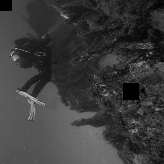 Sarabil - Roboflow Universe