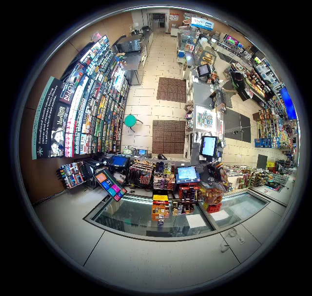 Person Detection Object Detection Dataset By Live Eye
