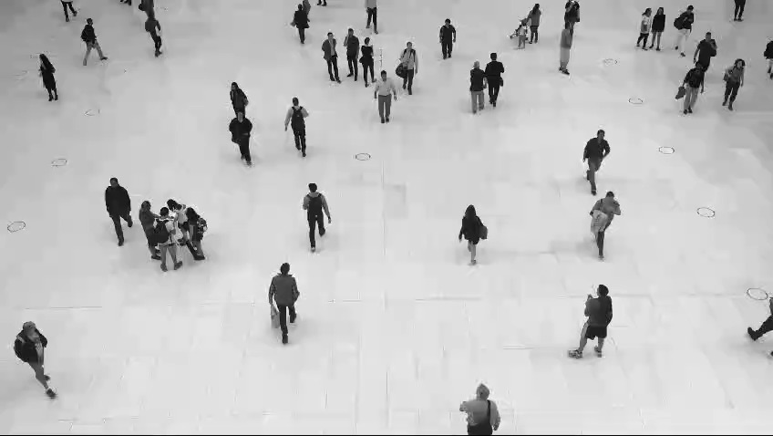 Test Object Detection Dataset And Pre Trained Model By Najam