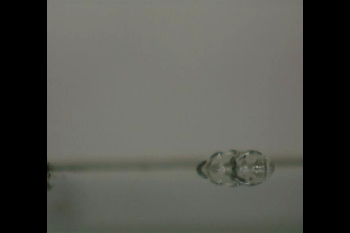 10ul_droplet_yolov8_detect Object Detection Dataset and Pre-Trained Model by Droplet track