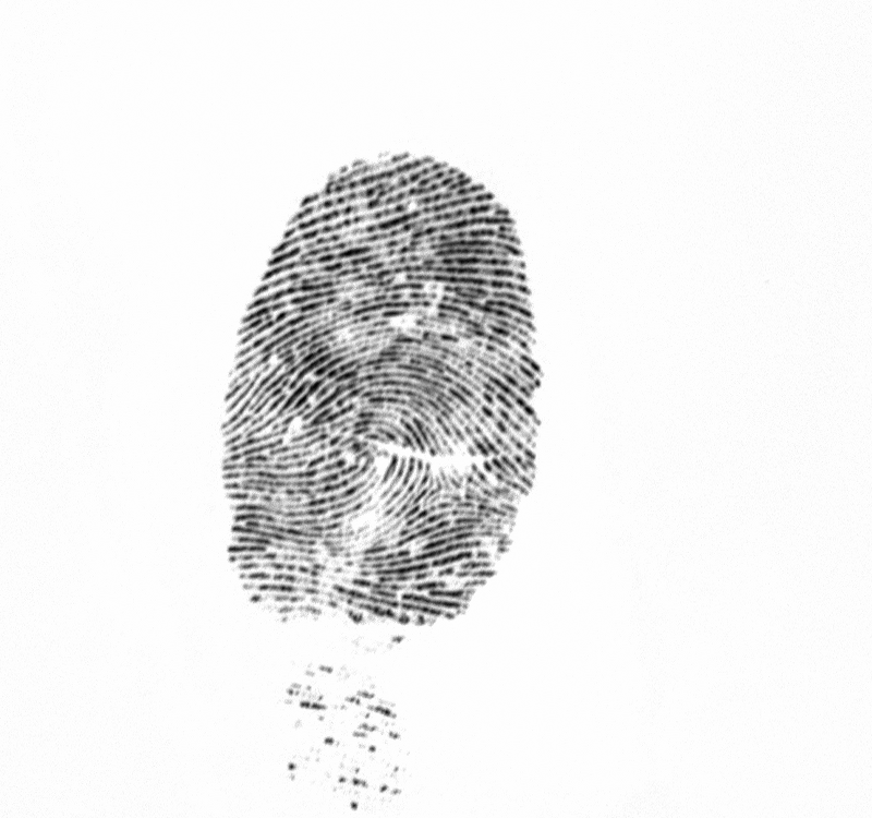 How to Use the Chess Sample Object Detection API