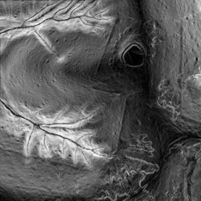 Indiana_channel_heads Object Detection Dataset and Pre-Trained Model by ChannelHeads