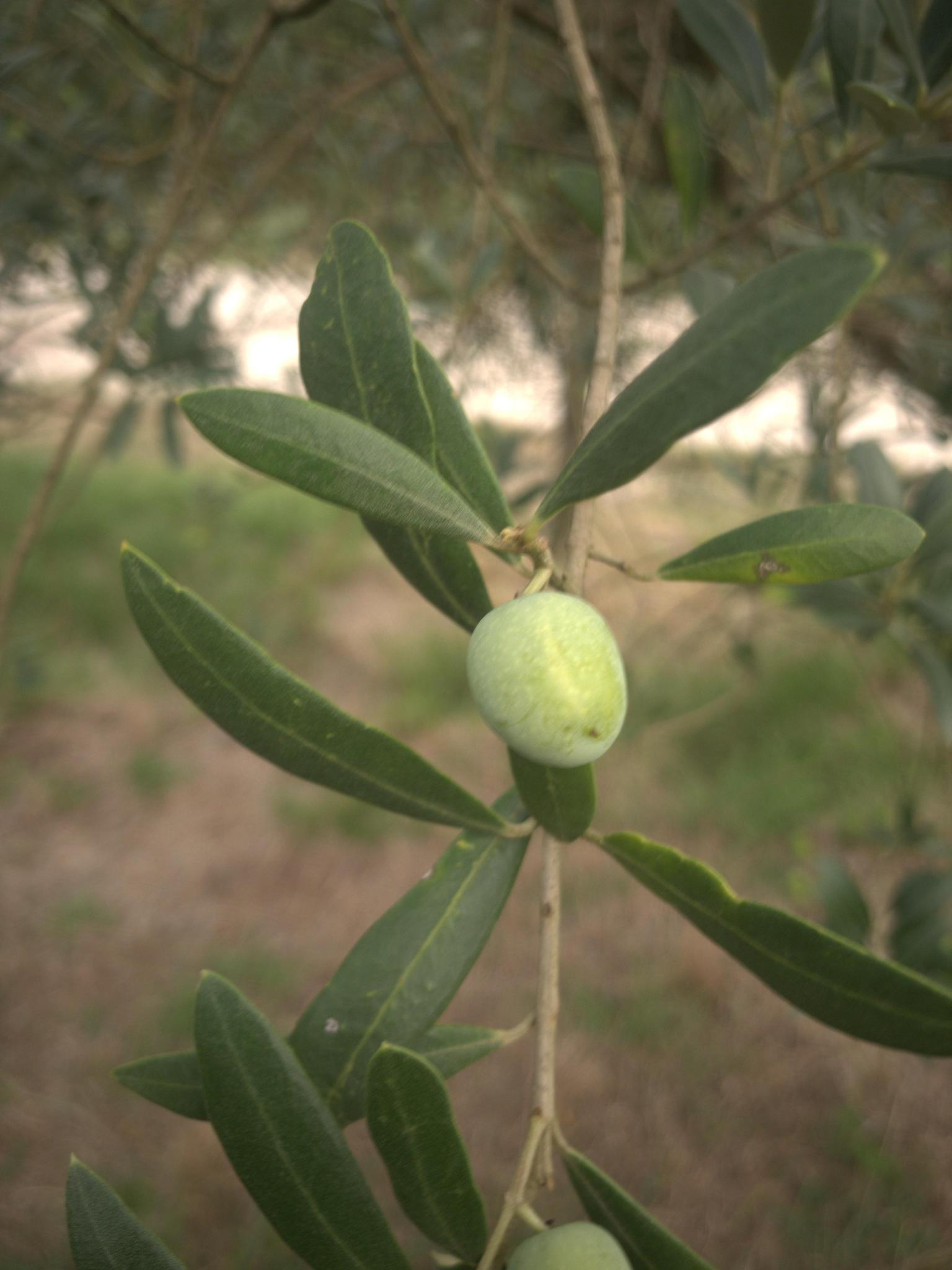 base_truck_seg Instance Segmentation Model by basetruckseg