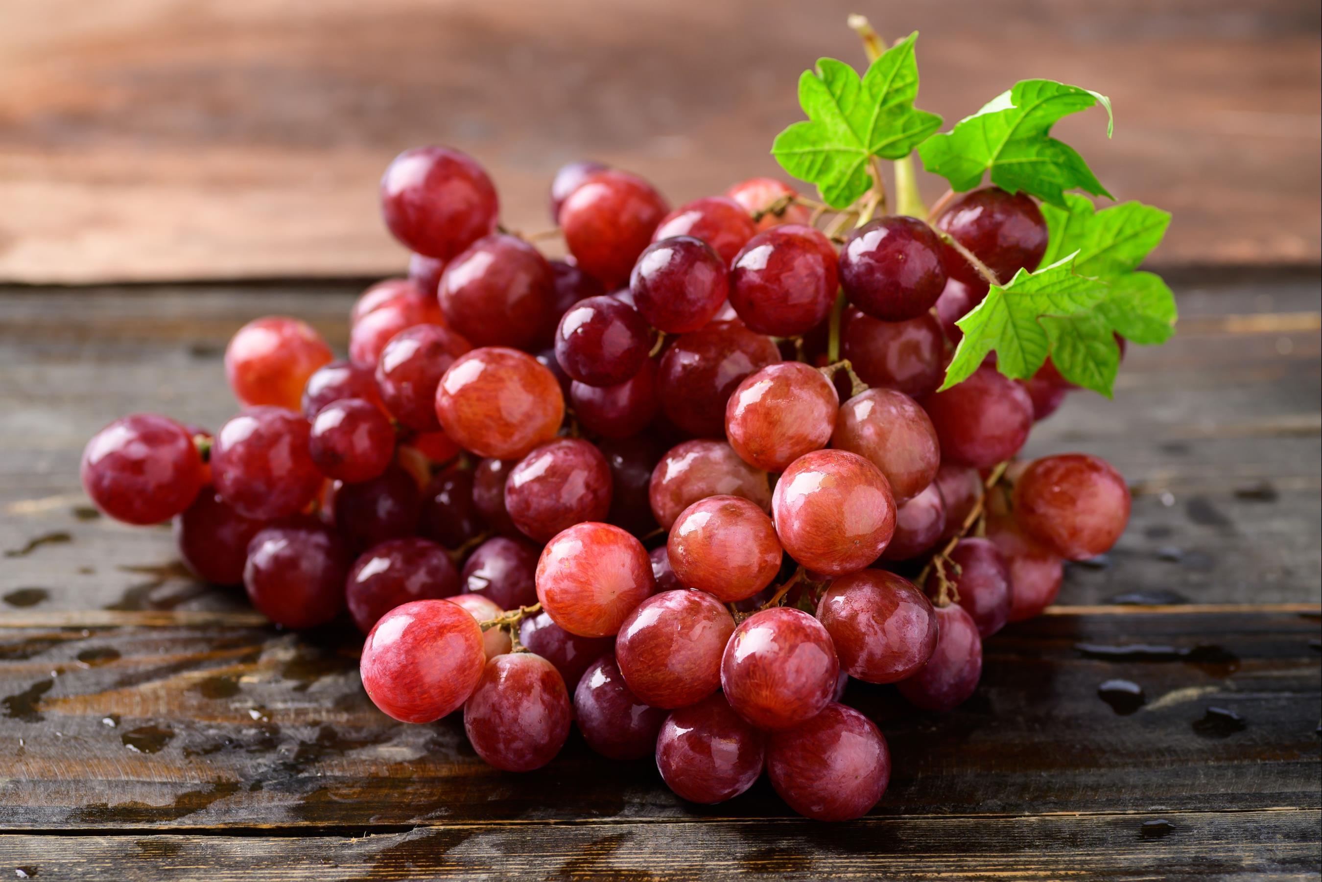 grape Object Detection Dataset by dcu