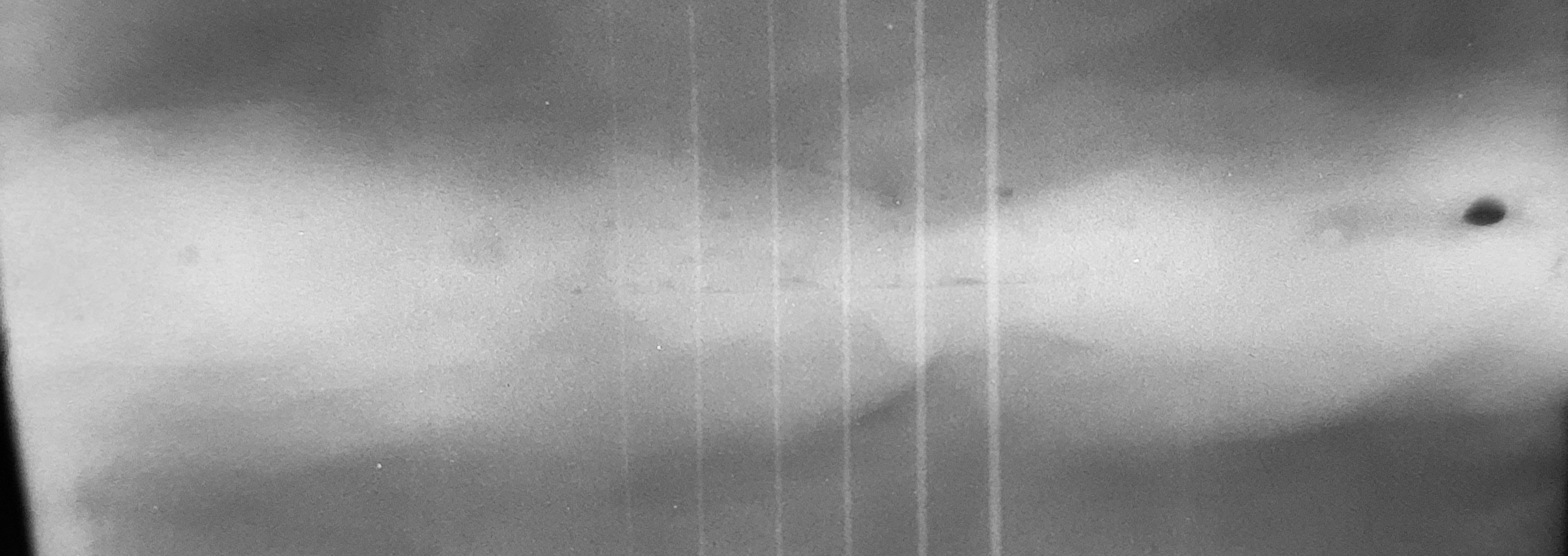 final Object Detection Dataset and Pre-Trained Model by My Workspace