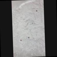 beehive Object Detection Model by Alice