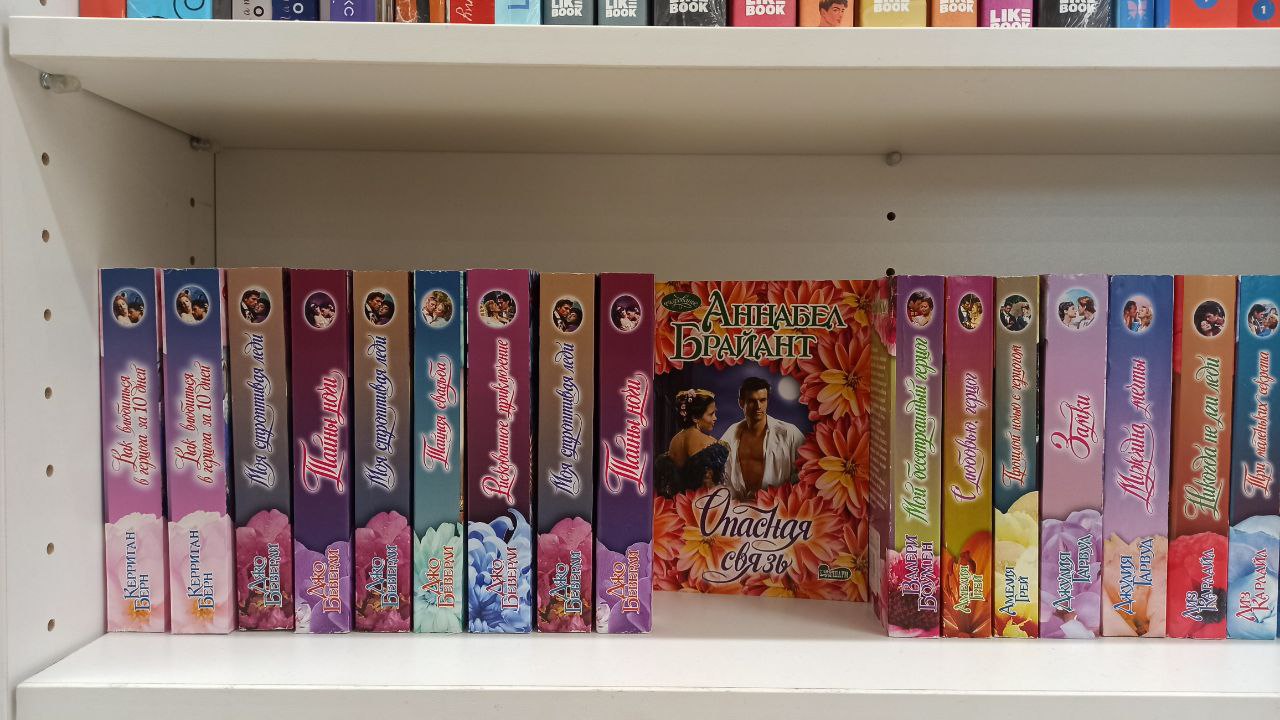 CV_project Instance Segmentation Dataset by cvproject