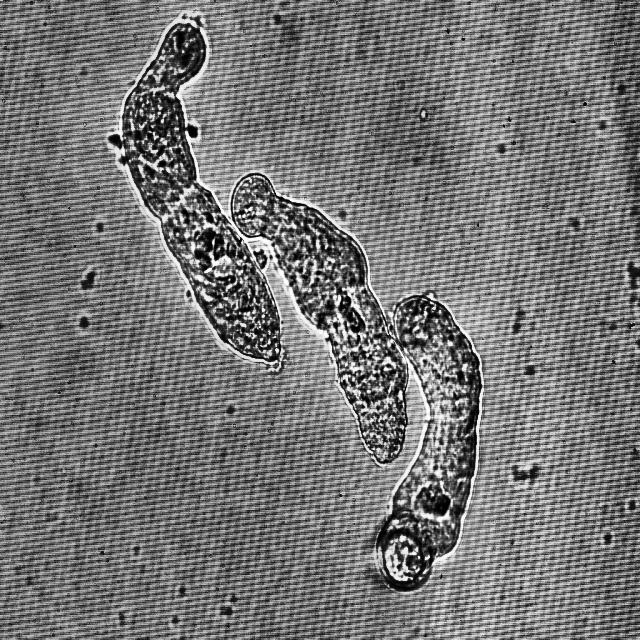 ontario tech - Roboflow Universe