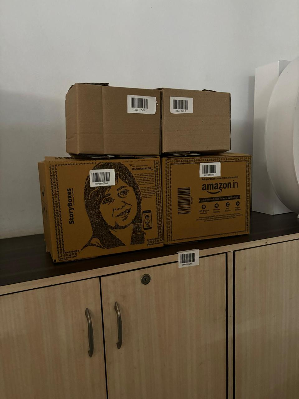 Mask Rcnn Box Detection Object Detection Dataset And Pre Trained Model By Eeshasworkspace