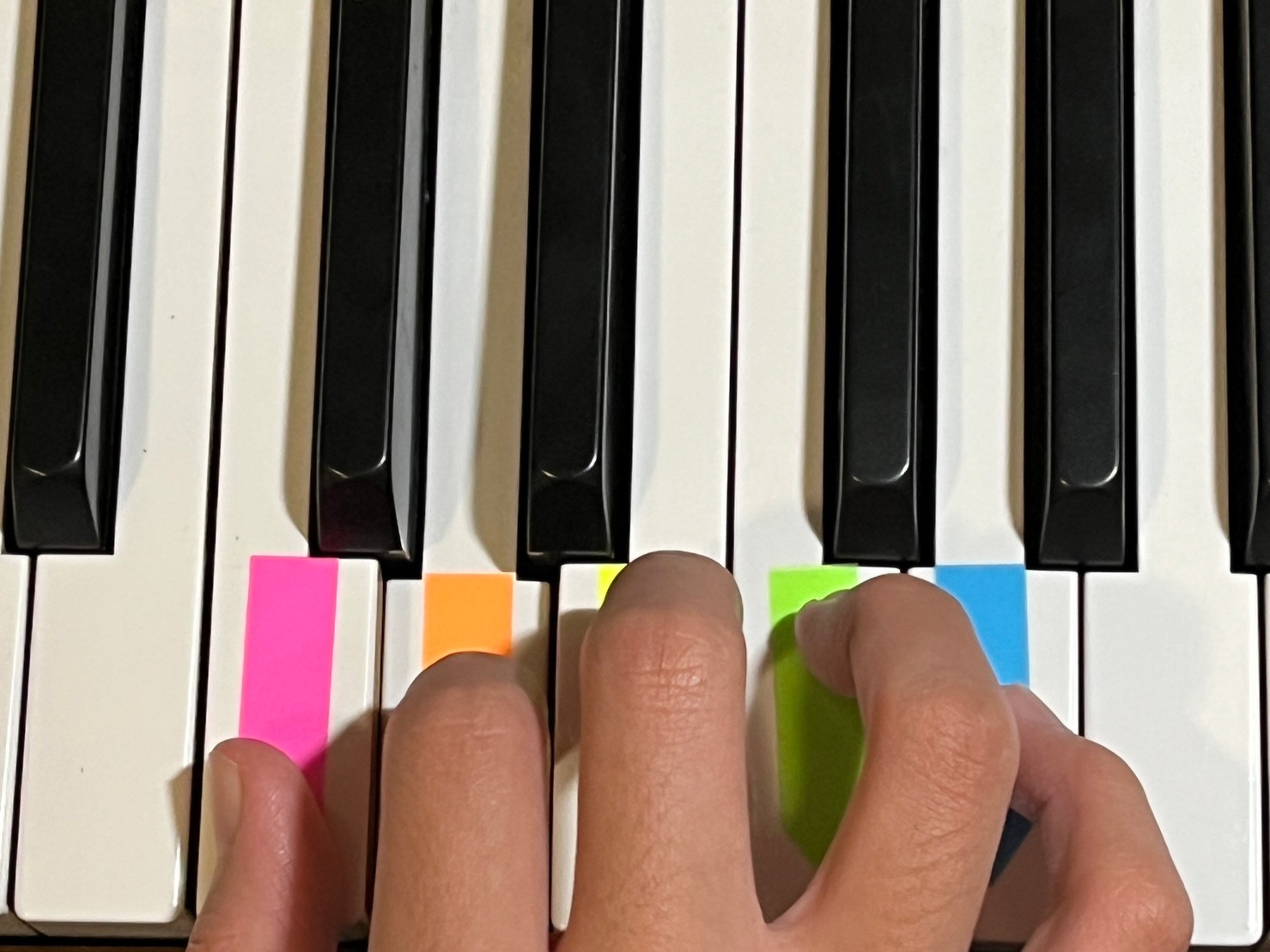 pianokey Object Detection Model by piano
