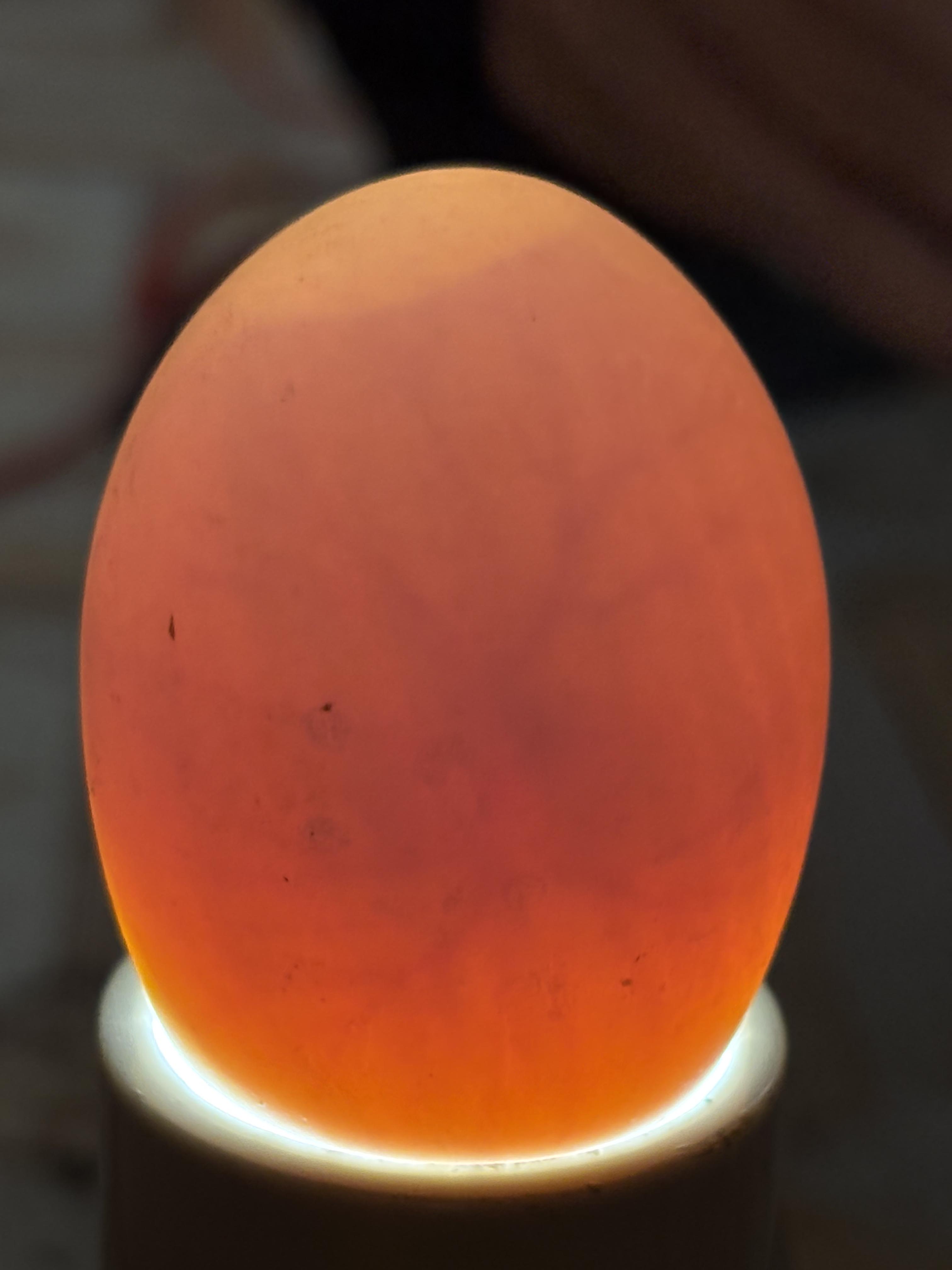 Cantaloupe XML to COCO JSON - Roboflow Universe