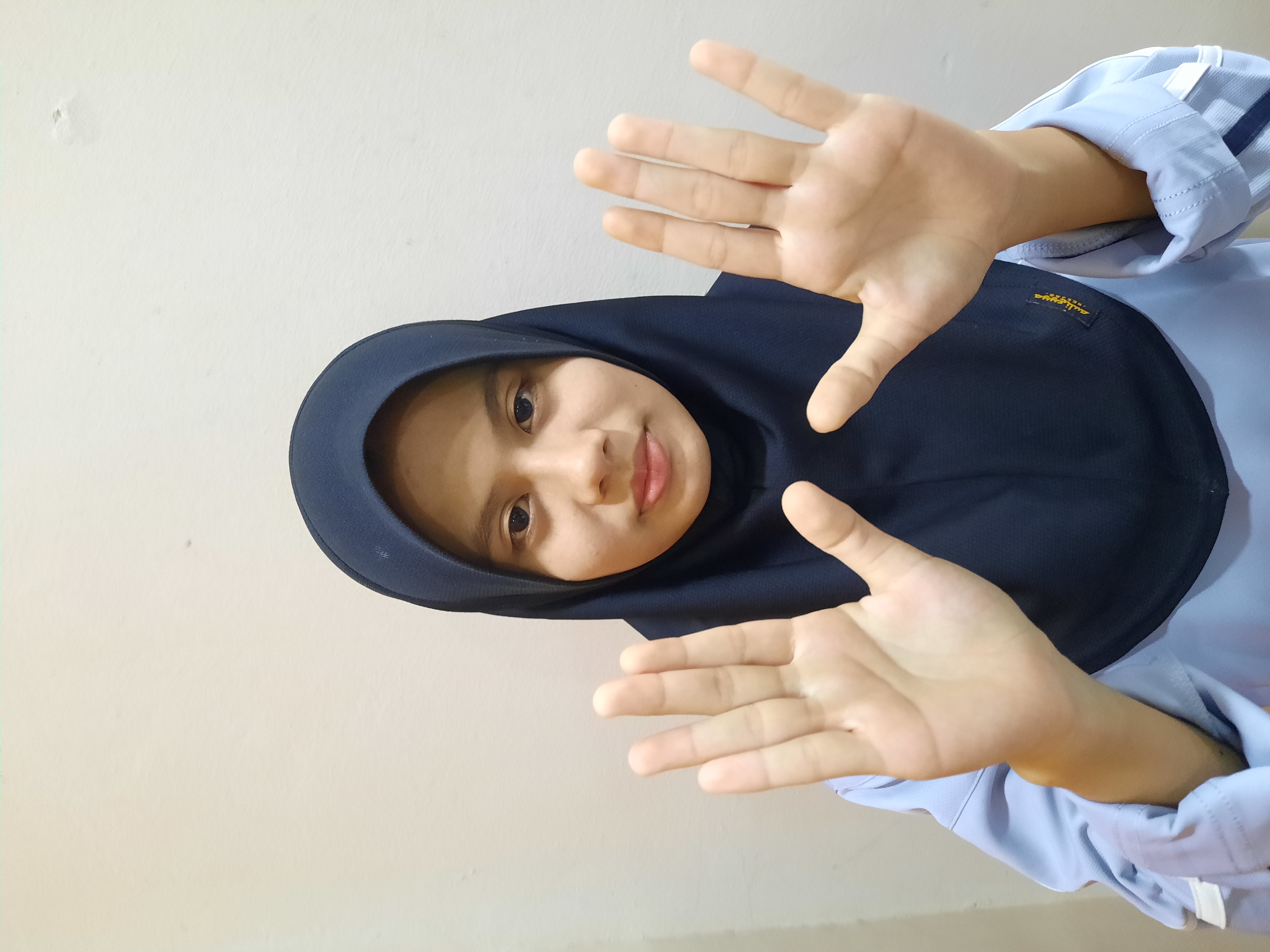 bsl-testing Object Detection Dataset and Pre-Trained Model by CS230