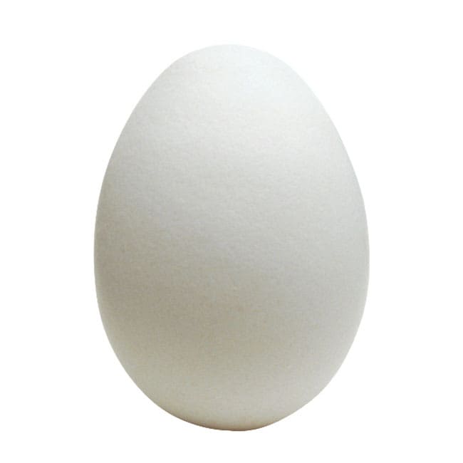 egg Object Detection Dataset and Pre-Trained Model by jiratha