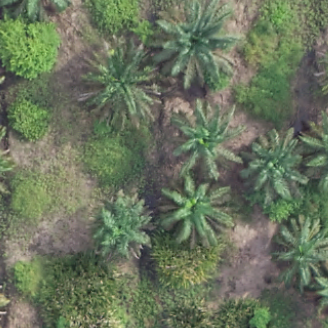 Dataset Pohon Sawit Object Detection Dataset by GeoAI Sumalata