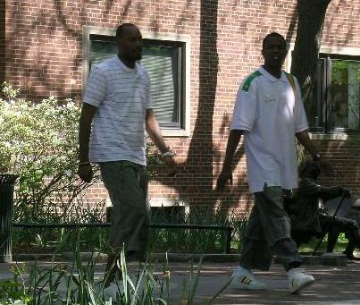 Project 1 Object Detection Dataset and Pre-Trained Model by project1