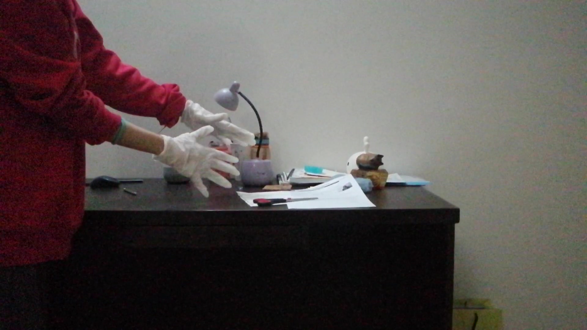 Gloves Annotated Dataset Object Detection Dataset By Sana Ali